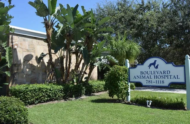 Sewalls Point Animal Hospital | Boulevard Animal