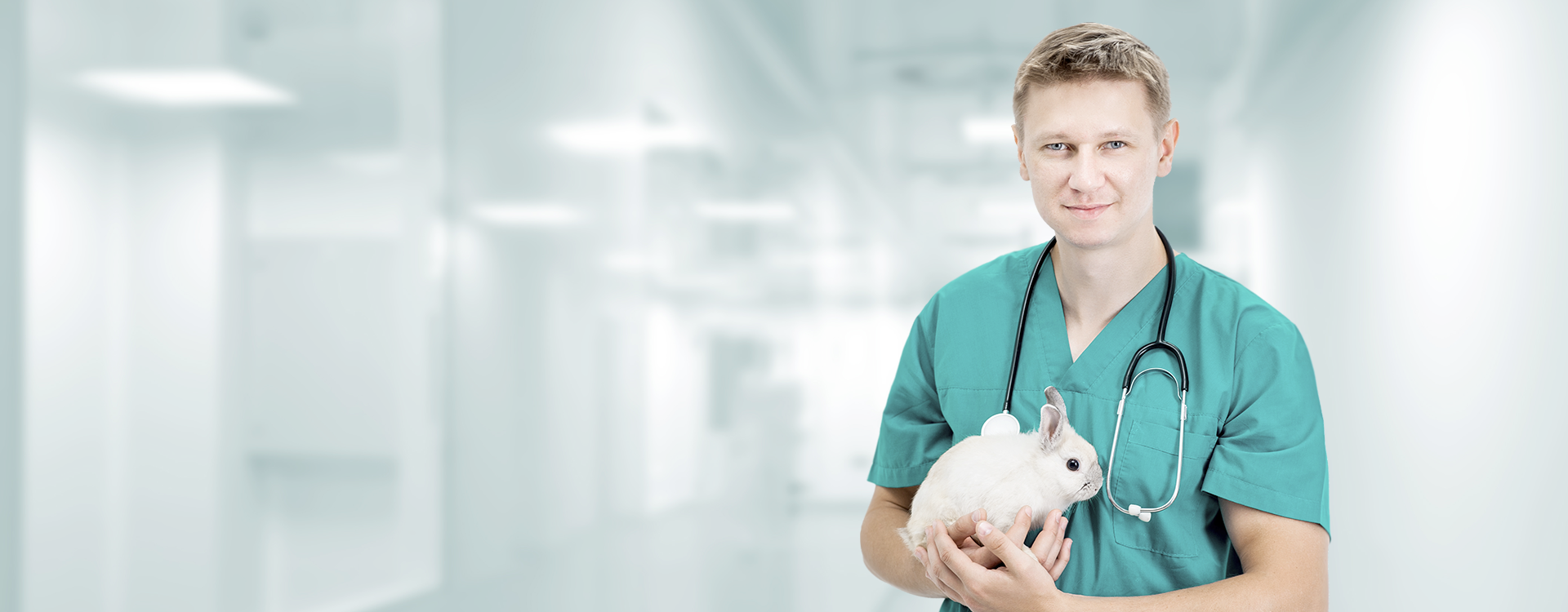 Veterinary Hospital Stuart Florida | Veterinarian Animal Surgery